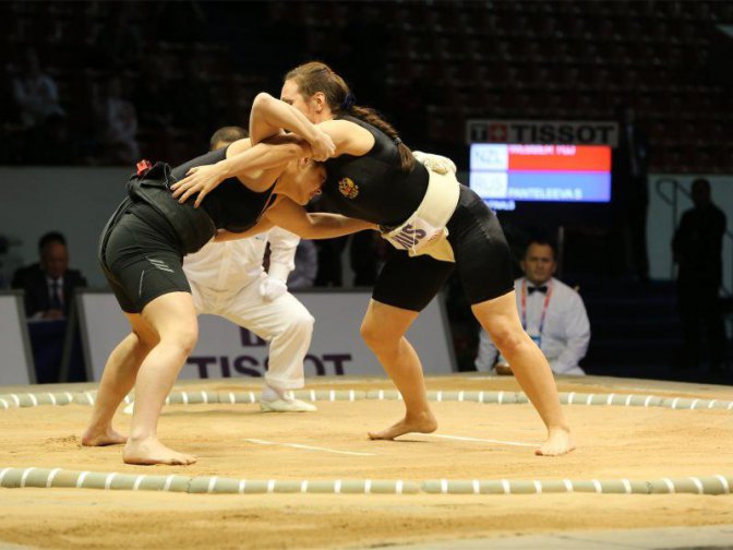 Sumo – i.Sport